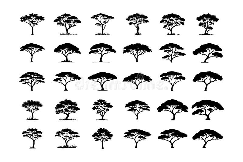 Acacia Trees Silhouettes Set on White Background Stock Illustration ...