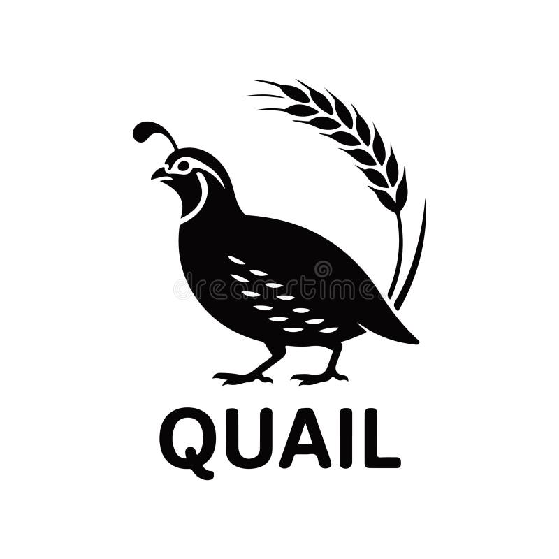 Simple Quail Bird Line Art Vector Stock Vector - Illustration of ...
