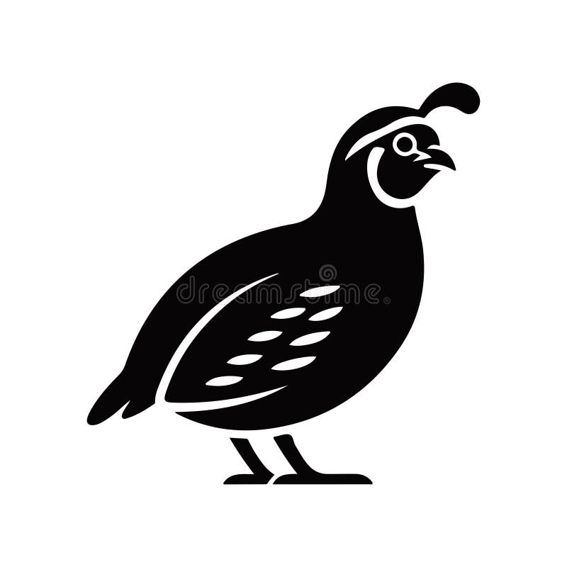 Simple Quail Bird Line Art Vector Stock Vector - Illustration of small ...