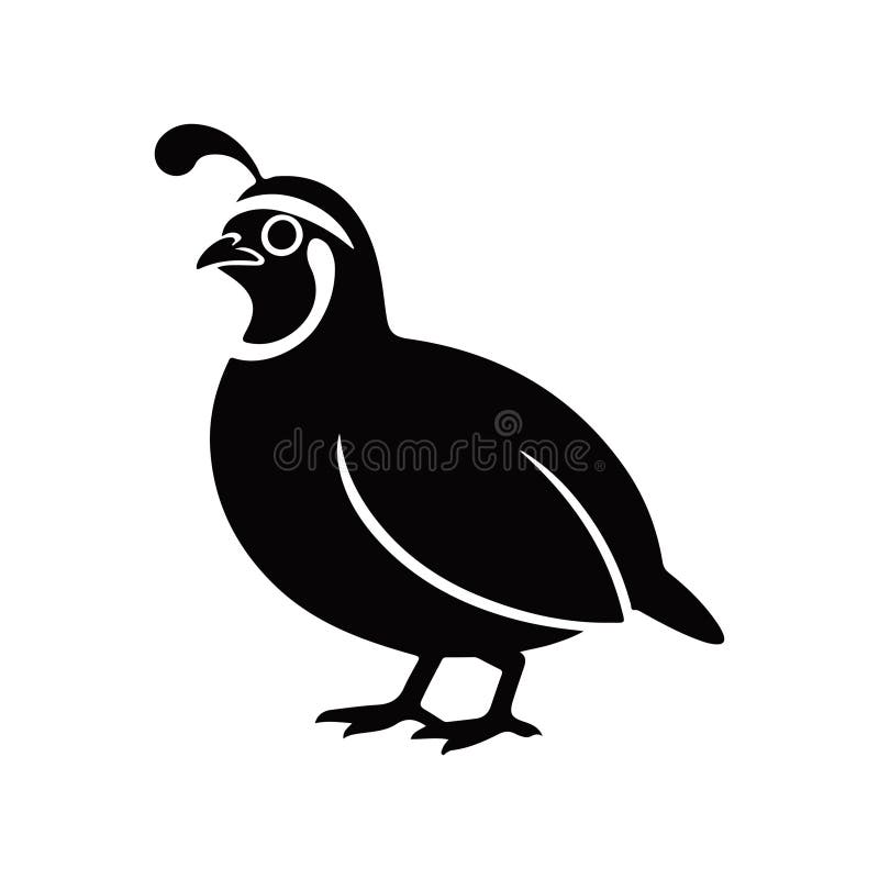 Vintage Quail Bird Illustration Vector Stock Vector - Illustration of ...