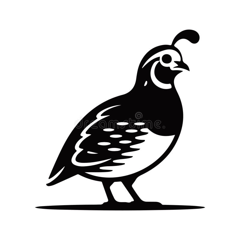 Minimalist Quail Bird Vector Drawing Stock Vector - Illustration of ...