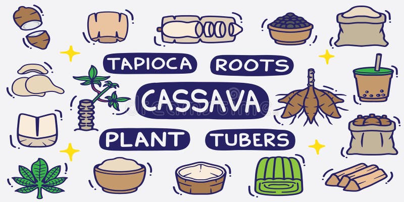 Cassava doodle stock illustration. Illustration of health - 379714705