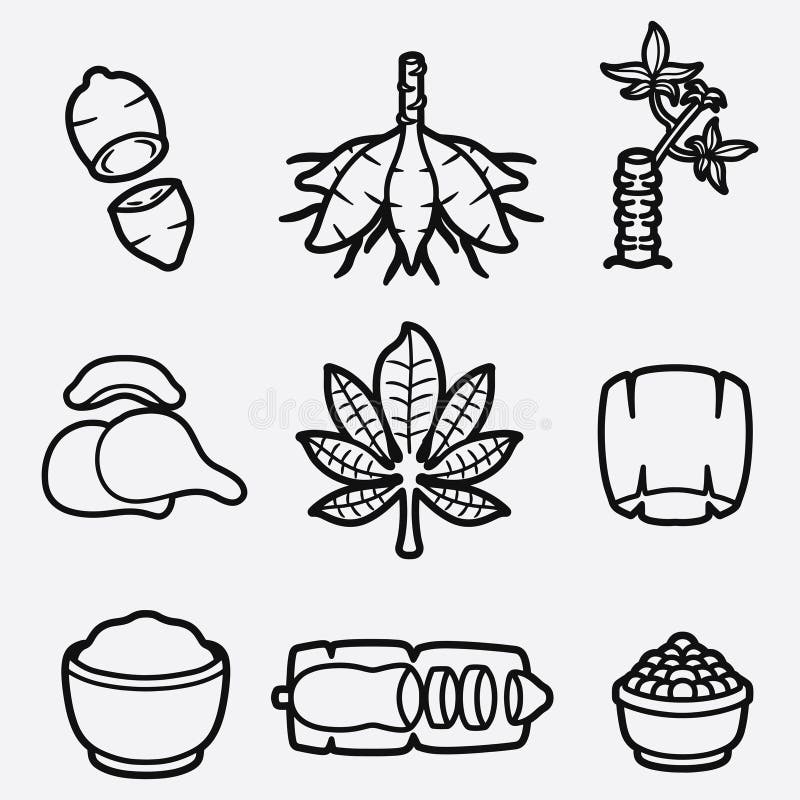 Cassava coloring page stock vector. Illustration of mandioca - 379714728