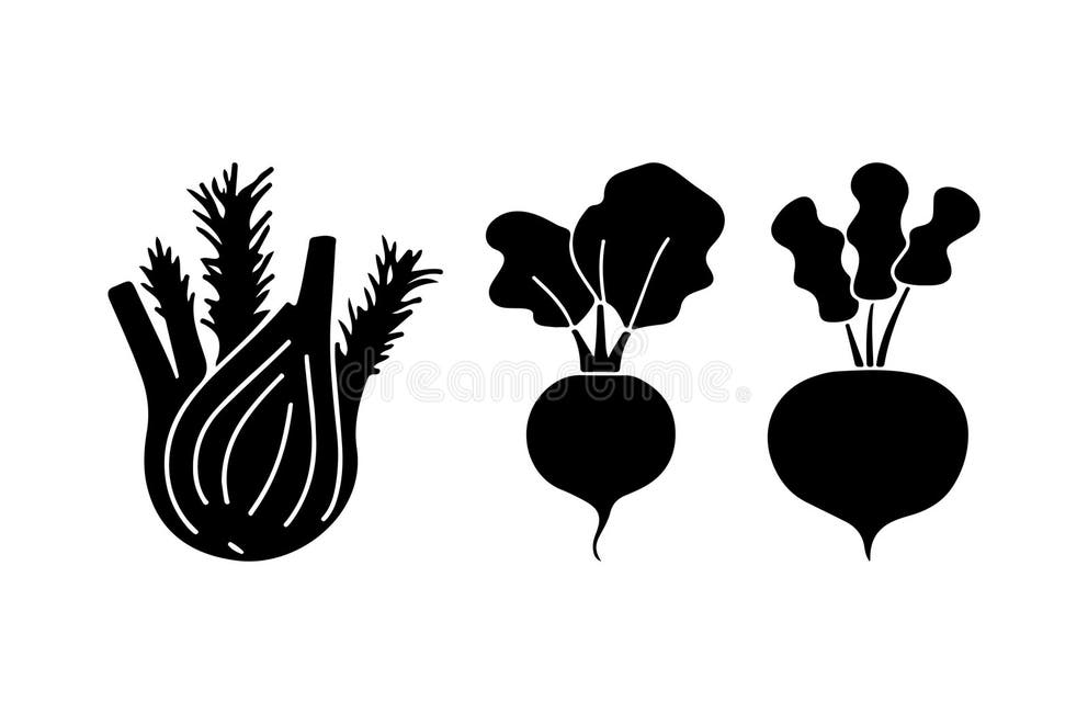 Root Vegetable Silhouette SVG Fennel, Radish, and Beet Clipart for Farm ...