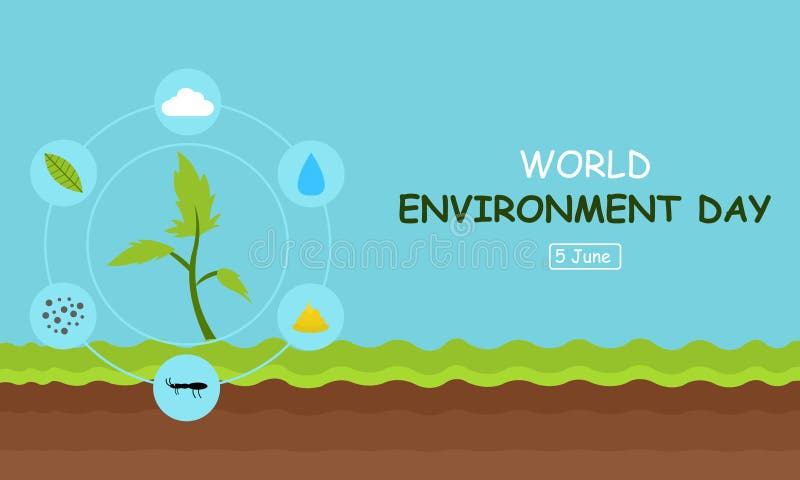 Illustration Vector Graphic of Plants and Some of Their Core Parts in ...