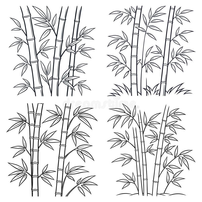 Hand Drawn Bamboo Grove with Tall Segmented Stalks and Leafy Branches ...