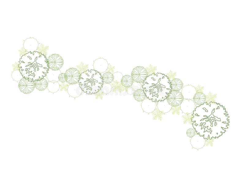 Architecture Drawing Plant Tree Top View Plan Greenery Vegetation ...
