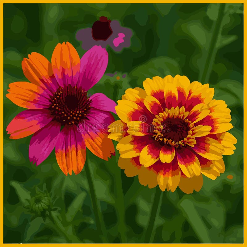 Vibrant Hybrid Flowers a Fusion of Nature S Beauty Stock Image - Image ...