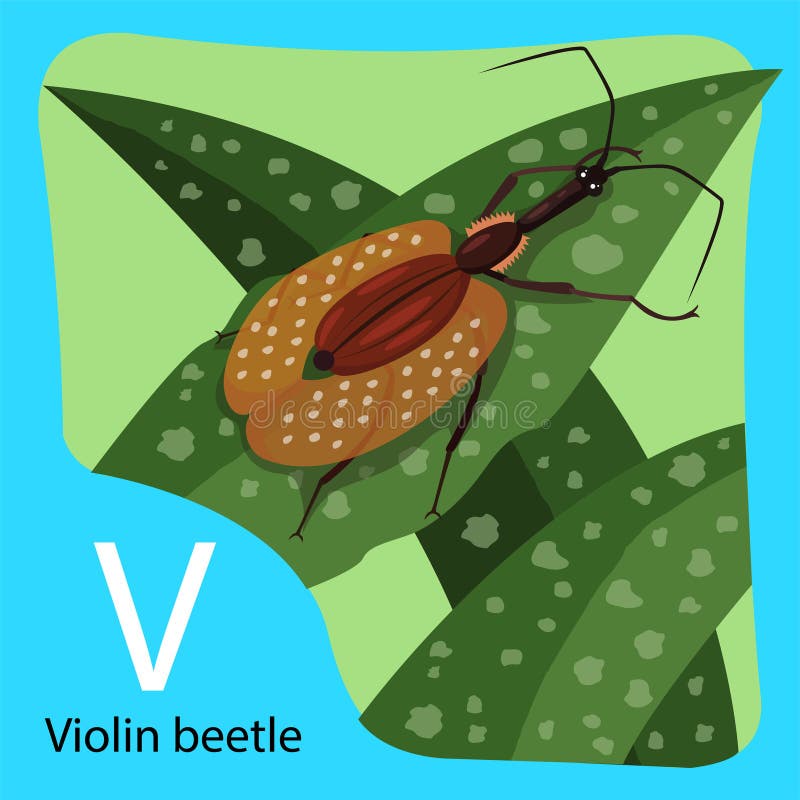 Illustrator of V is Violin Beetle Stock Vector - Illustration of ...