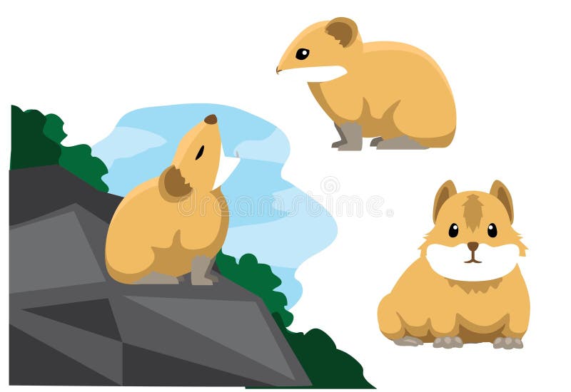 Pika Cute Animal Cartoon Isolated Character Various Poses Stock Vector ...