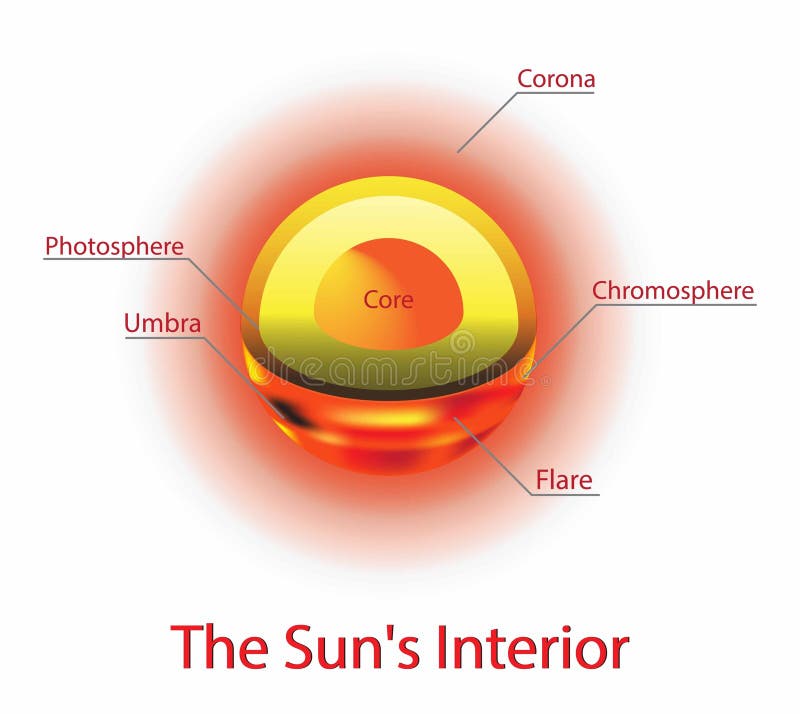 Illustration of Astronomy and Cosmology, Sun S Interior, Anatomy of the ...
