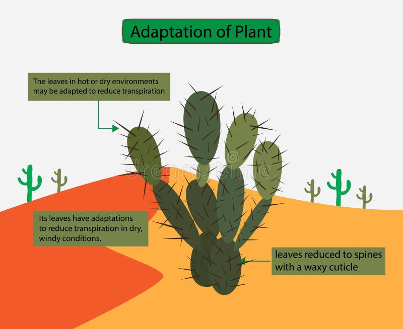 Adaptation Stock Illustrations – 56,760 Adaptation Stock Illustrations ...
