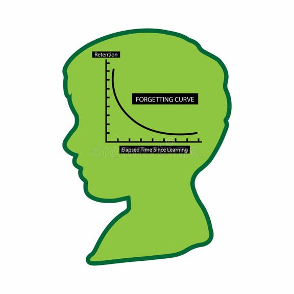The Forgetting Curve, or the Ebbinghaus Curve of Forgetting Stock ...