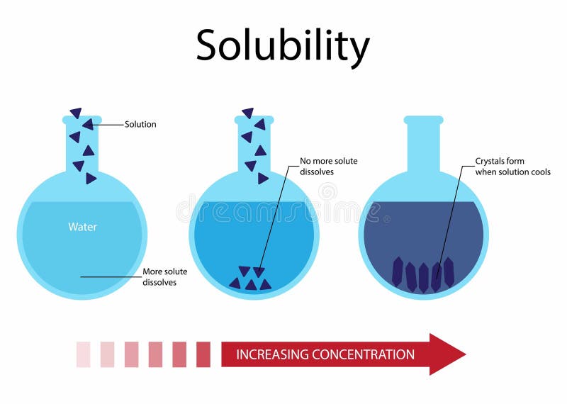 Solubility Stock Illustrations – 122 Solubility Stock Illustrations ...