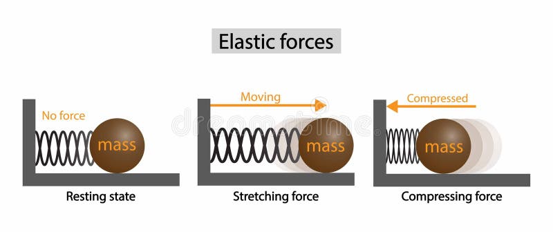 Illustration of Physics, Elastic Forces, Elastic Force, Stretch ...