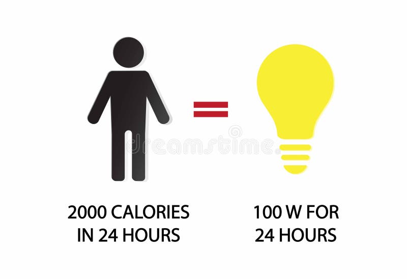 In a Day Humans Use As Much Energy As a 100 Watt Stock Vector ...