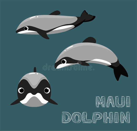 Maui Dolphin Cartoon Vector Illustration Stock Vector - Illustration of ...