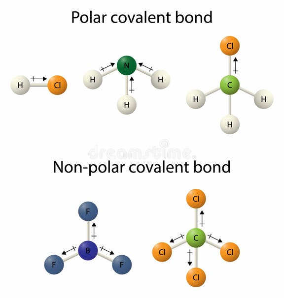 Illustration of Chemistry, Polar Covalent Bond and Nonpolar Covalent ...