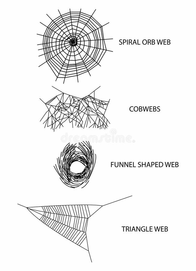 Illustration of Biology and Zoology, Different Types of Spider Webs ...