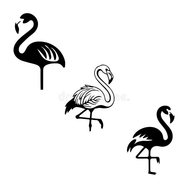 Prominent Flamingo Stock Illustrations – 4 Prominent Flamingo Stock ...