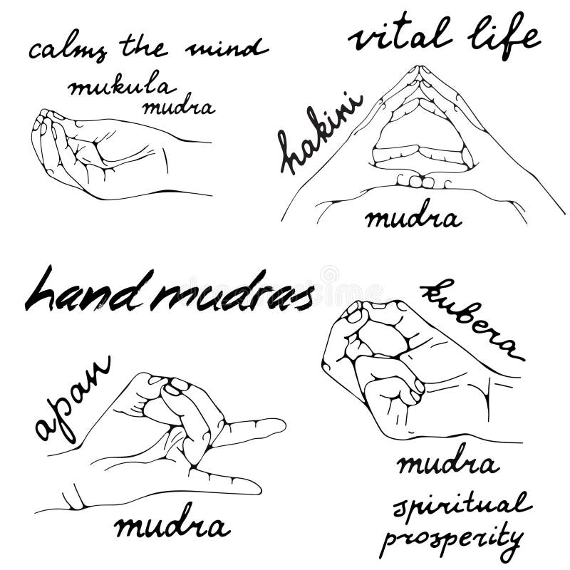 Collection of Hand Mudras Isolated on White Stock Illustration ...