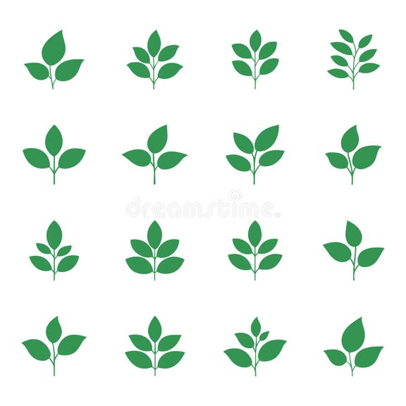Fresh Minimal Botanical Leaf Icon Pack Stock Vector - Illustration of ...