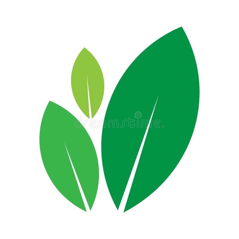 Leaf Icon. Green Leaf Vector Icon Stock Illustration - Illustration of ...