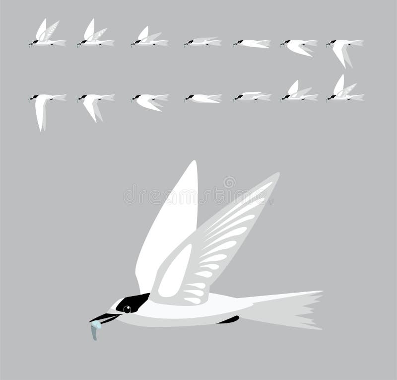 White-Fronted Tern Flying Animation Straight Sequence Cartoon Vector ...