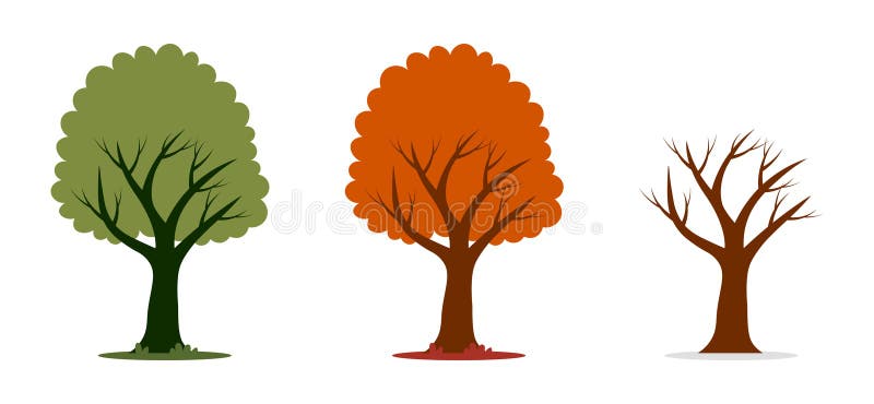 Tree Transformation through Four Seasons from Spring To Winter Stock ...