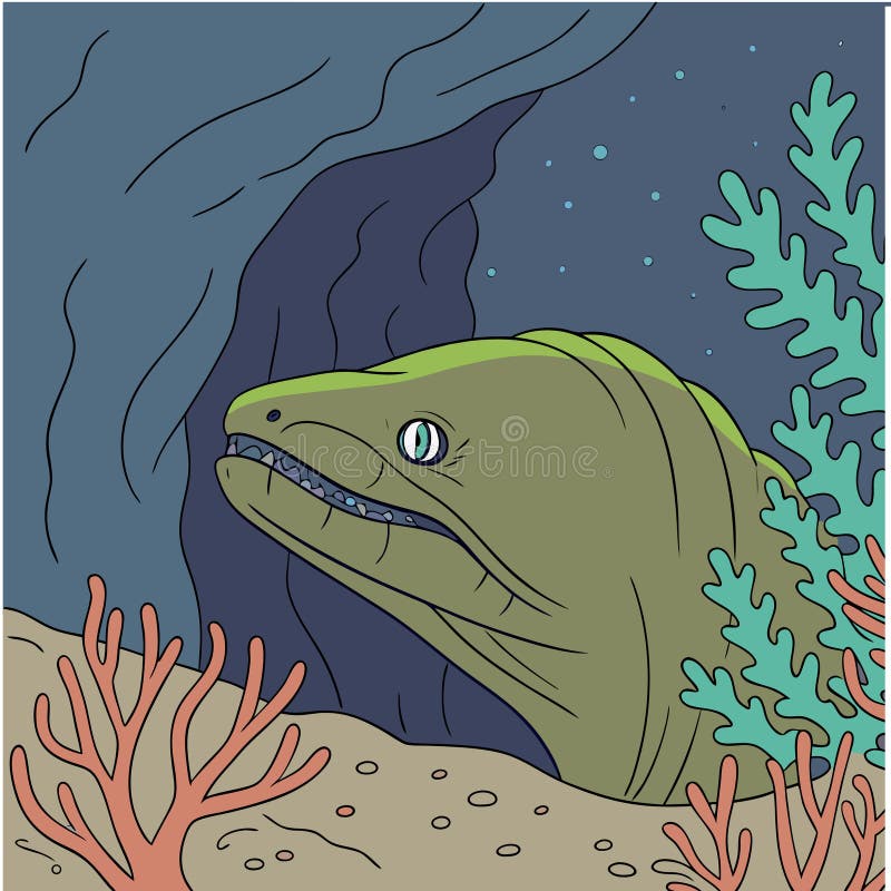 Moray Eel Reef Lurker stock illustration. Illustration of gymnothorax ...