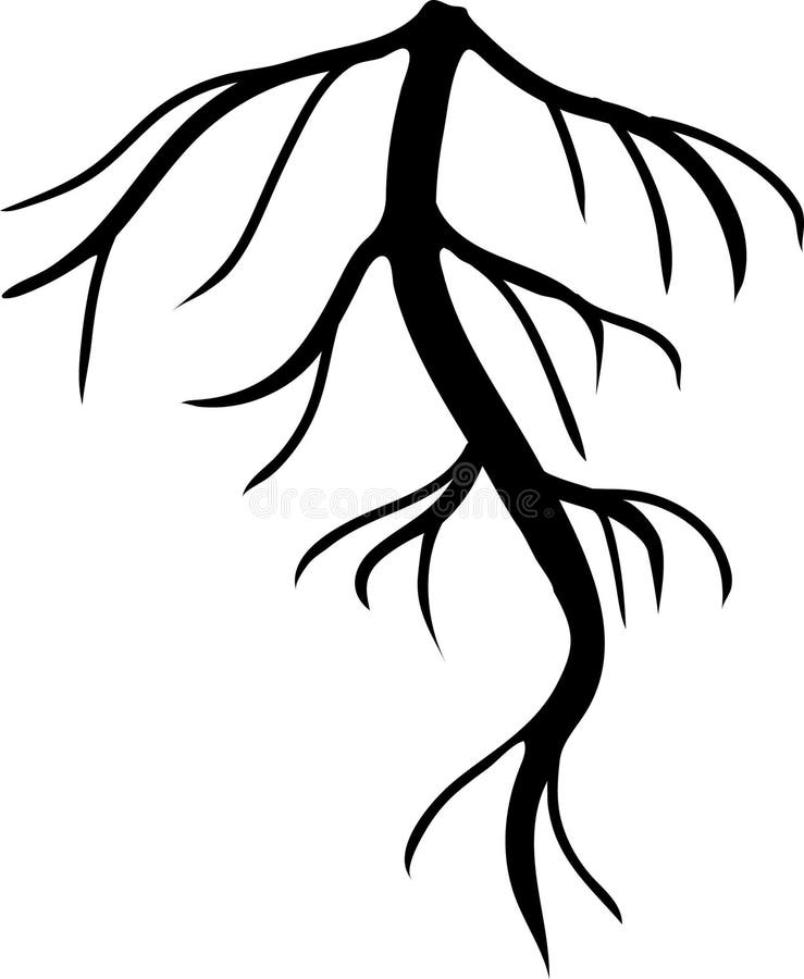 Tap Root Stock Illustrations – 120 Tap Root Stock Illustrations ...