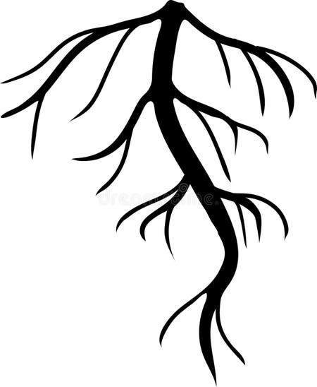 Tap Root Stock Illustrations – 120 Tap Root Stock Illustrations ...