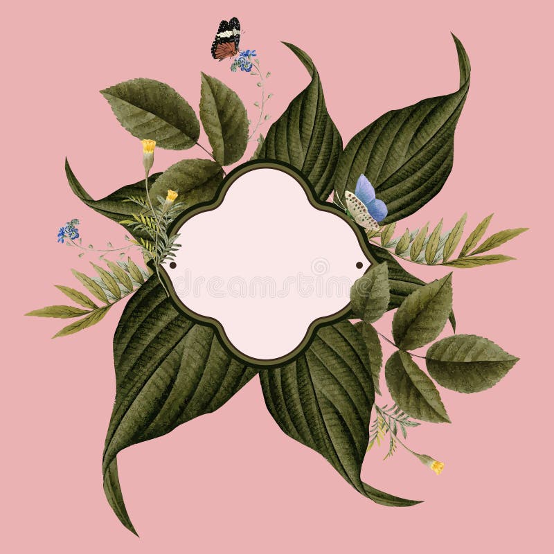 Blank Floral Frame Card Illustration Stock Illustration - Illustration ...