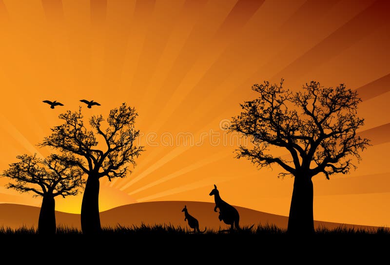 Boab Trees in the Sunset with Two Kangaroos and Sun Rays Stock Vector ...