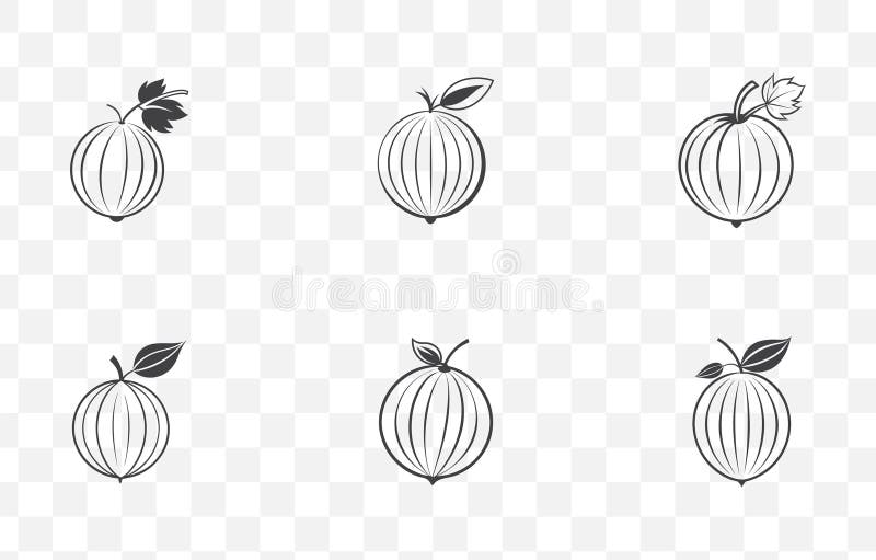 Print Comprehensive Gooseberry Line Art Vector Set Featuring Detailed ...