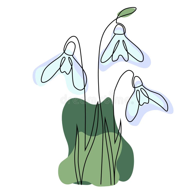 Colorful One Line Drawing Hand Drawn of Spring Snowdrop. Stock Vector ...