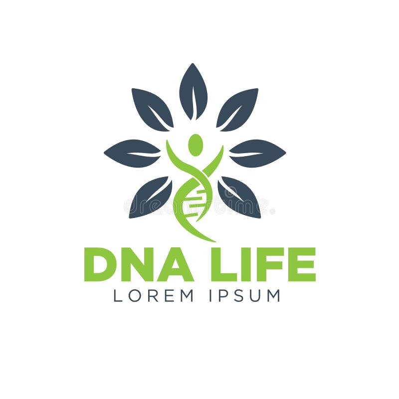 Dna Life Leaf Logo Simple Modern Designs Health Medicine Stock Vector ...