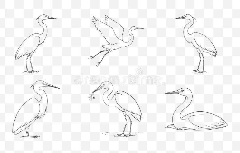 Print Elegant Egret Line Art Vector Set with Detailed Illustrations for ...