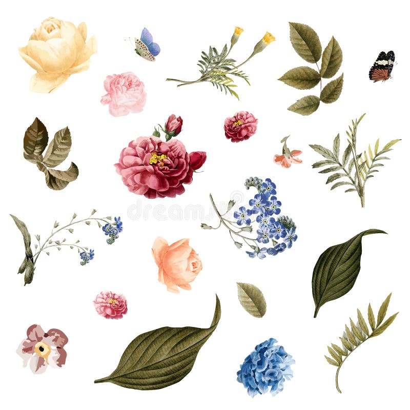 Hand Drawn Flowers Colorful Floral Pattern Stock Vector - Illustration ...