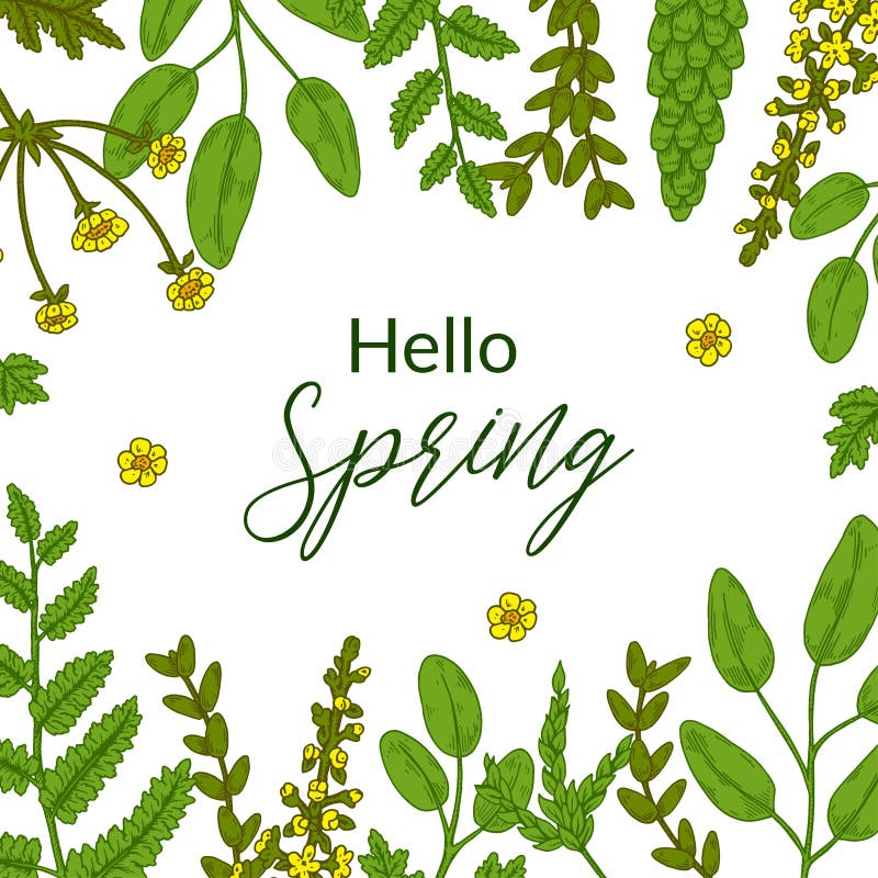 Hello Spring Banner with Green Floral Elements. Hand Drawn Vector ...