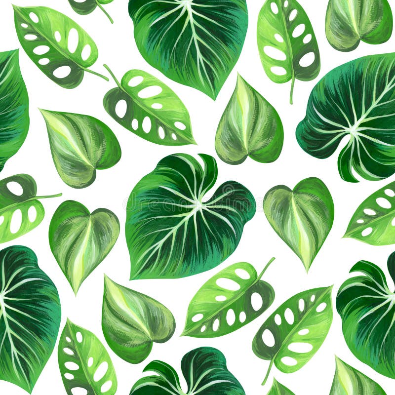 Print with Leaves of Indoor Plants. Seamless Pattern with Leaves. Stock ...