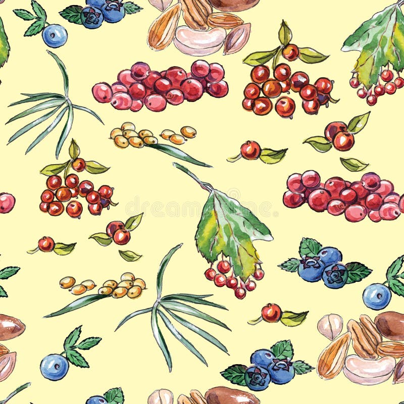 Seamless Pattern of Berries and Nuts Stock Illustration - Illustration ...