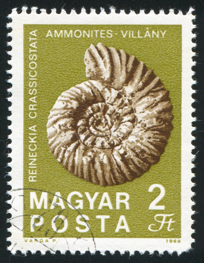 Fossil Print of Prehistoric Fish in Paleontologic Museum Editorial ...