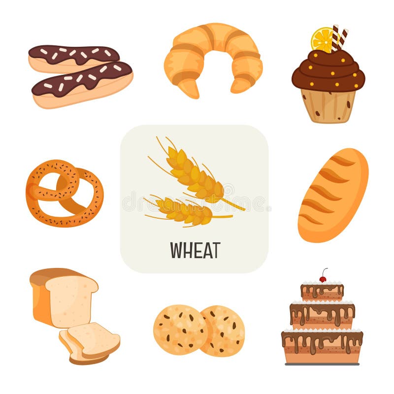 Wheat products stock vector. Illustration of isolated - 152889874