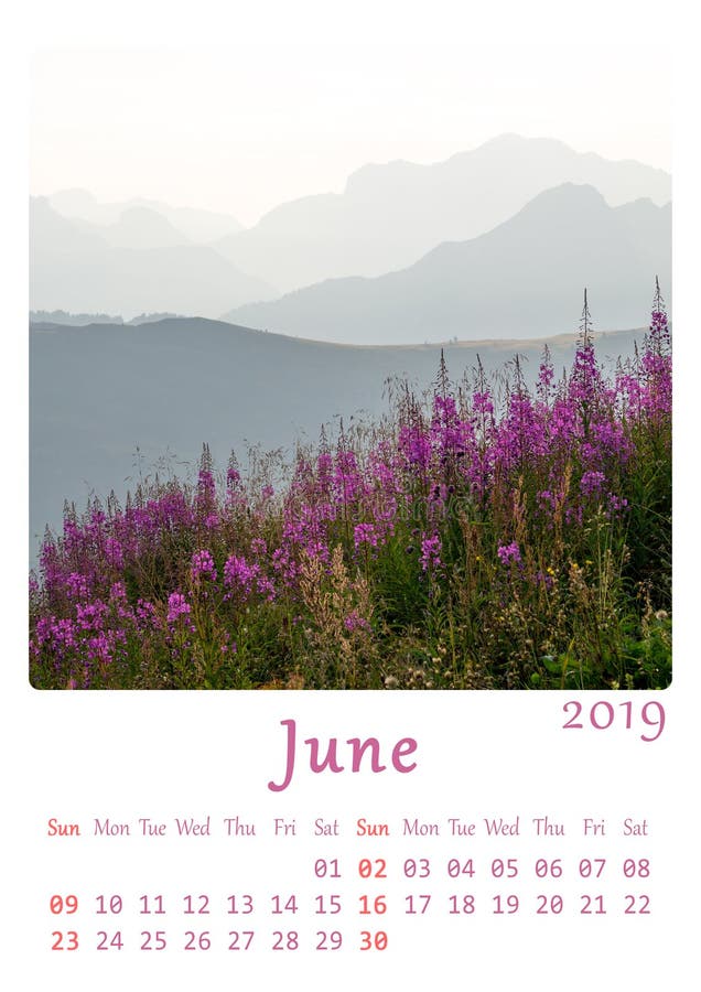 A4 Printable 2019 Minimalist Nature Calendar - Month of February Stock ...