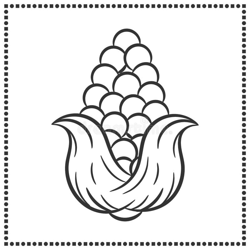 Printable Corn Sketch for Coloring Stock Vector - Illustration of ...