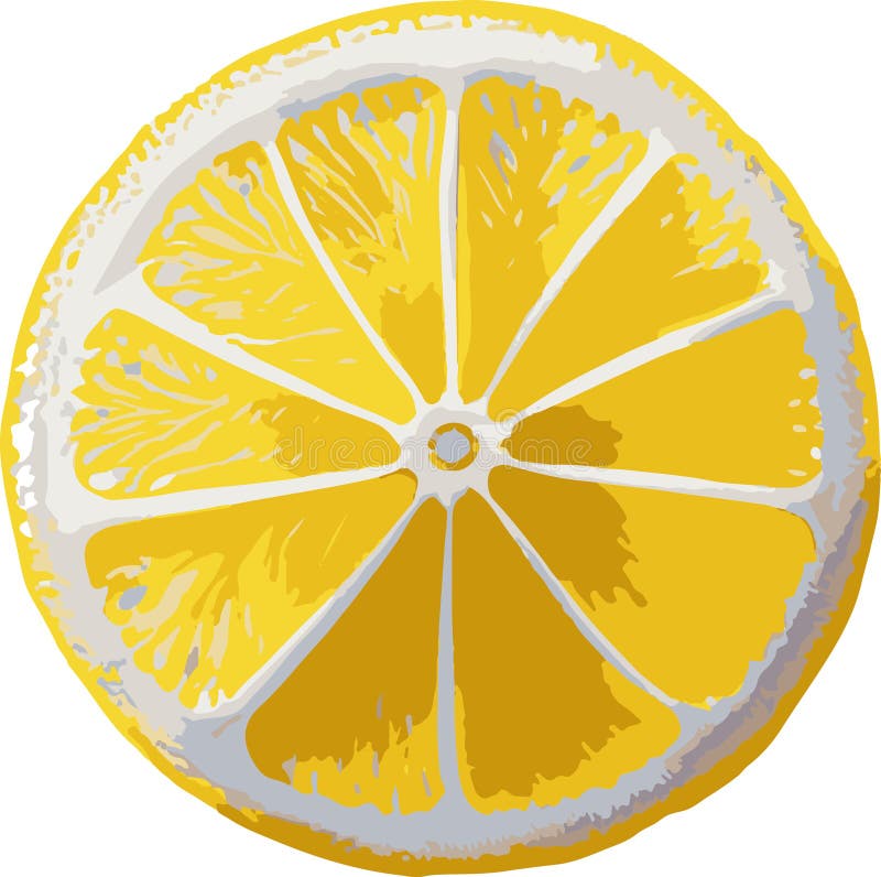 Printable, Illustration, Lemon Slice, Fruit Vector Stock Illustration ...