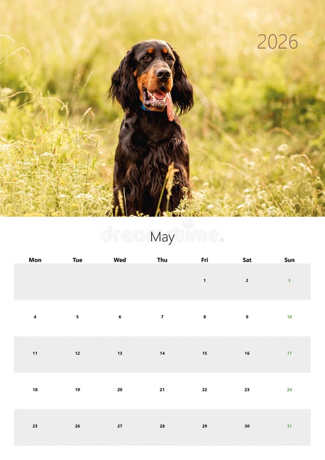 409 2026 Calendar Visual Stock Photos - Free & Royalty-Free Stock ...