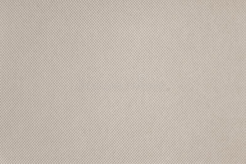 Printed Paper Grid. Textured Paper Color Perfectly Pale Stock Photo ...