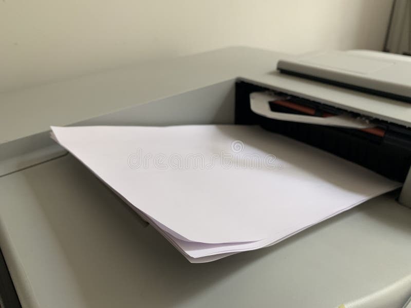 Printing Paper is Inserted in the Printer. Printer for Copying ...
